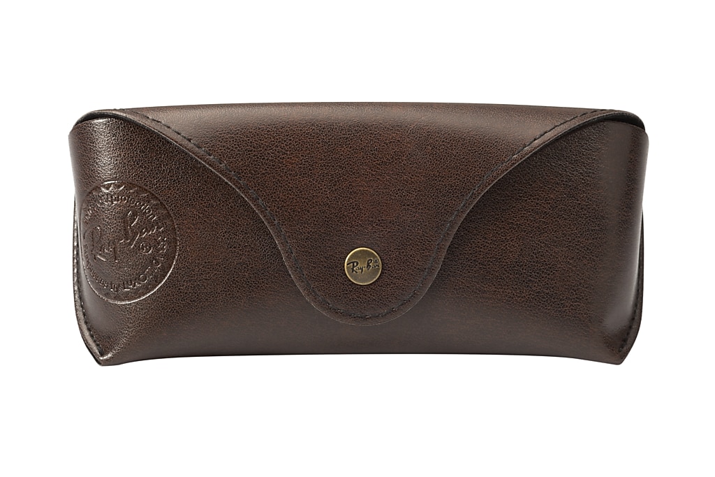 Ray-Ban ARB0002AT Shades Shell Ltd Case & Chocolate Brown Sunglasses ...