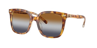 Coach HC8381U CL918 54 Blue & Brown Sunglasses | Sunglass Hut USA
