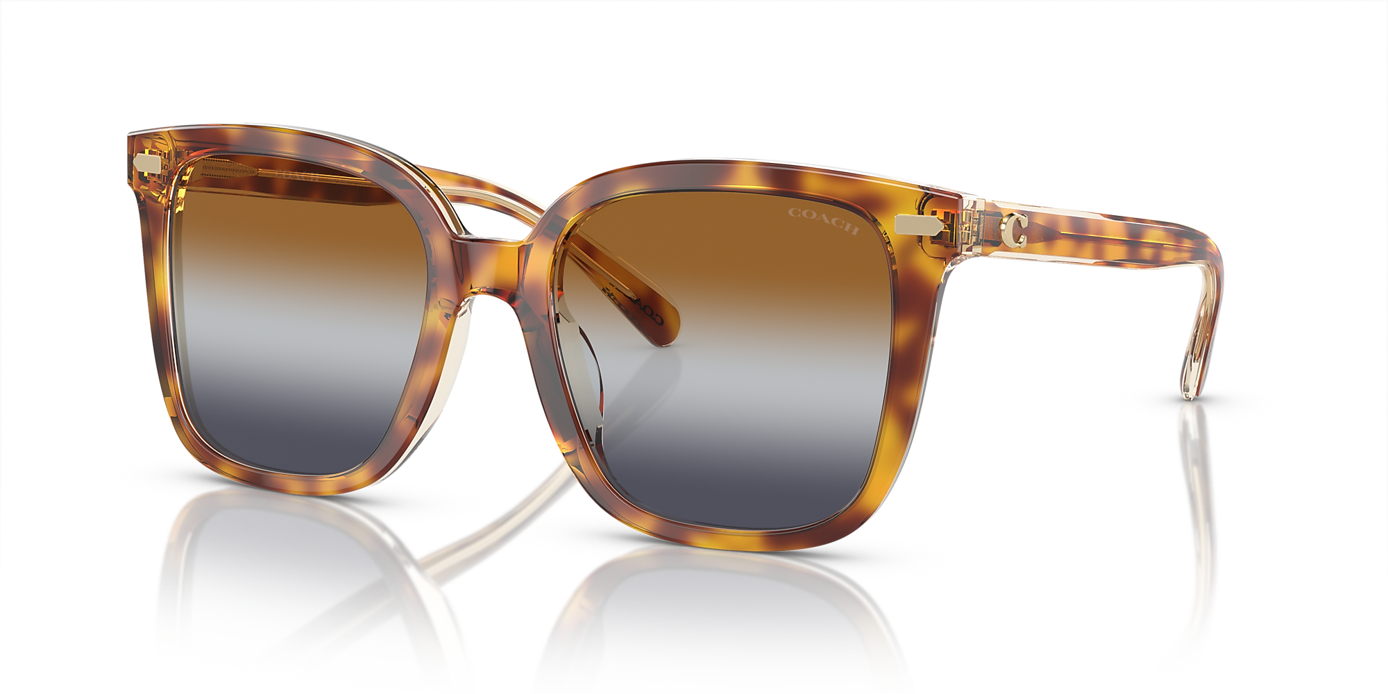 Coach HC8381U CL918 54 Blue & Brown Sunglasses | Sunglass Hut USA