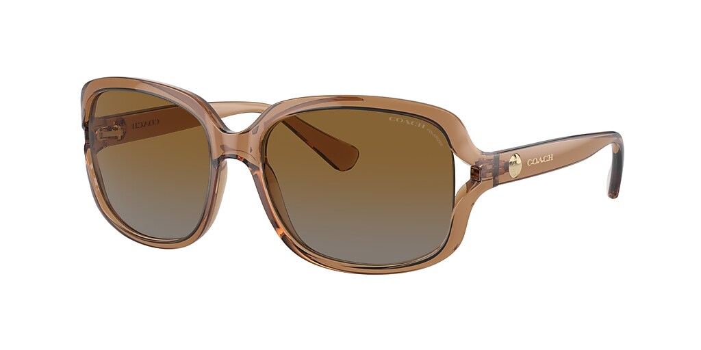 Coach HC8169 L149 57 Brown Grey Gradient Polar & Transparent Brown ...