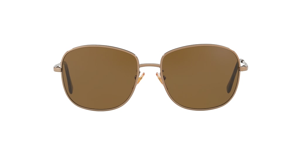 Sunglass Hut Collection Hu1002 56 Brown And Bronze Sunglasses Sunglass