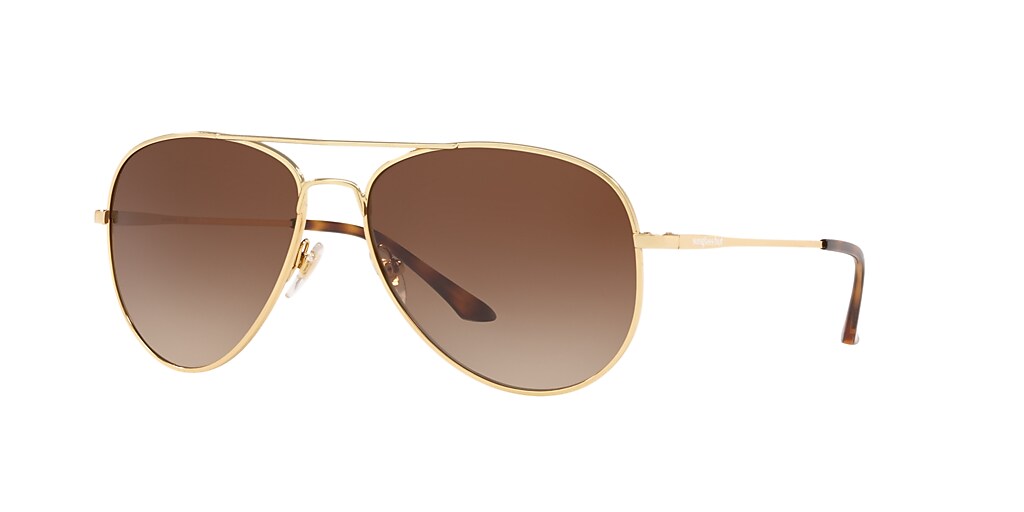 Sunglass Hut Collection Hu1001 59 Gradient Brown And Gold Sunglasses