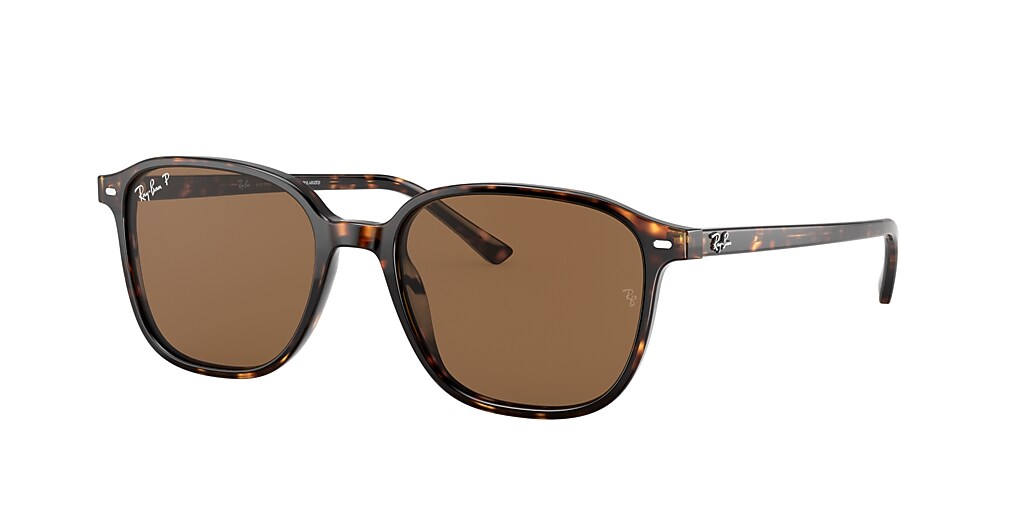 Ray-Ban RB2193 Leonard 53 Brown & Tortoise Polarised Sunglasses ...