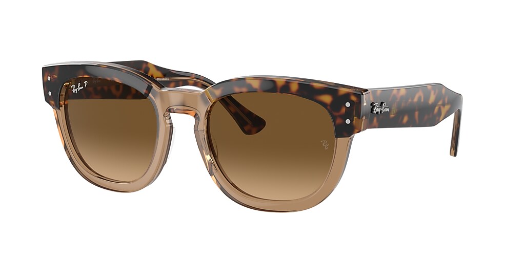 Ray-Ban RB0298S Mega Hawkeye 53 Brown & Havana On Transparent Brown ...