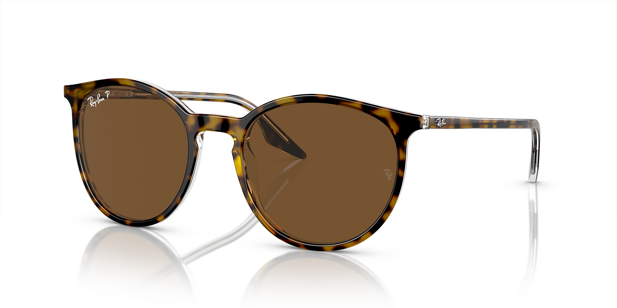 Ray-Ban RB2204 54 Brown & Havana On Transparent Polarized Sunglasses ...