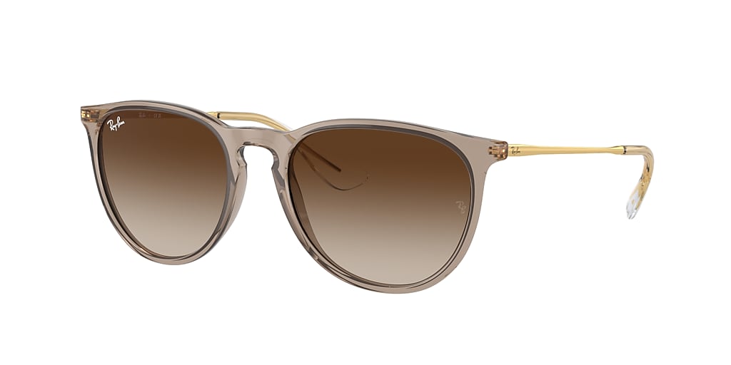 Ray-Ban RB4171 Erika Classic 54 Brown & Transparent Light Brown ...
